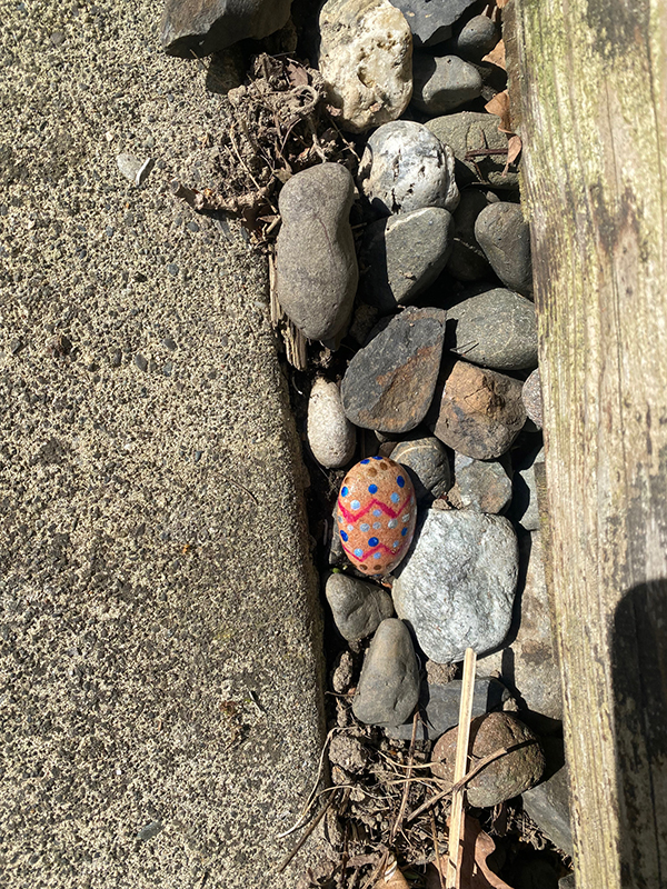 Yorker Online - York Neighborhood Association - Bellingham, Washington